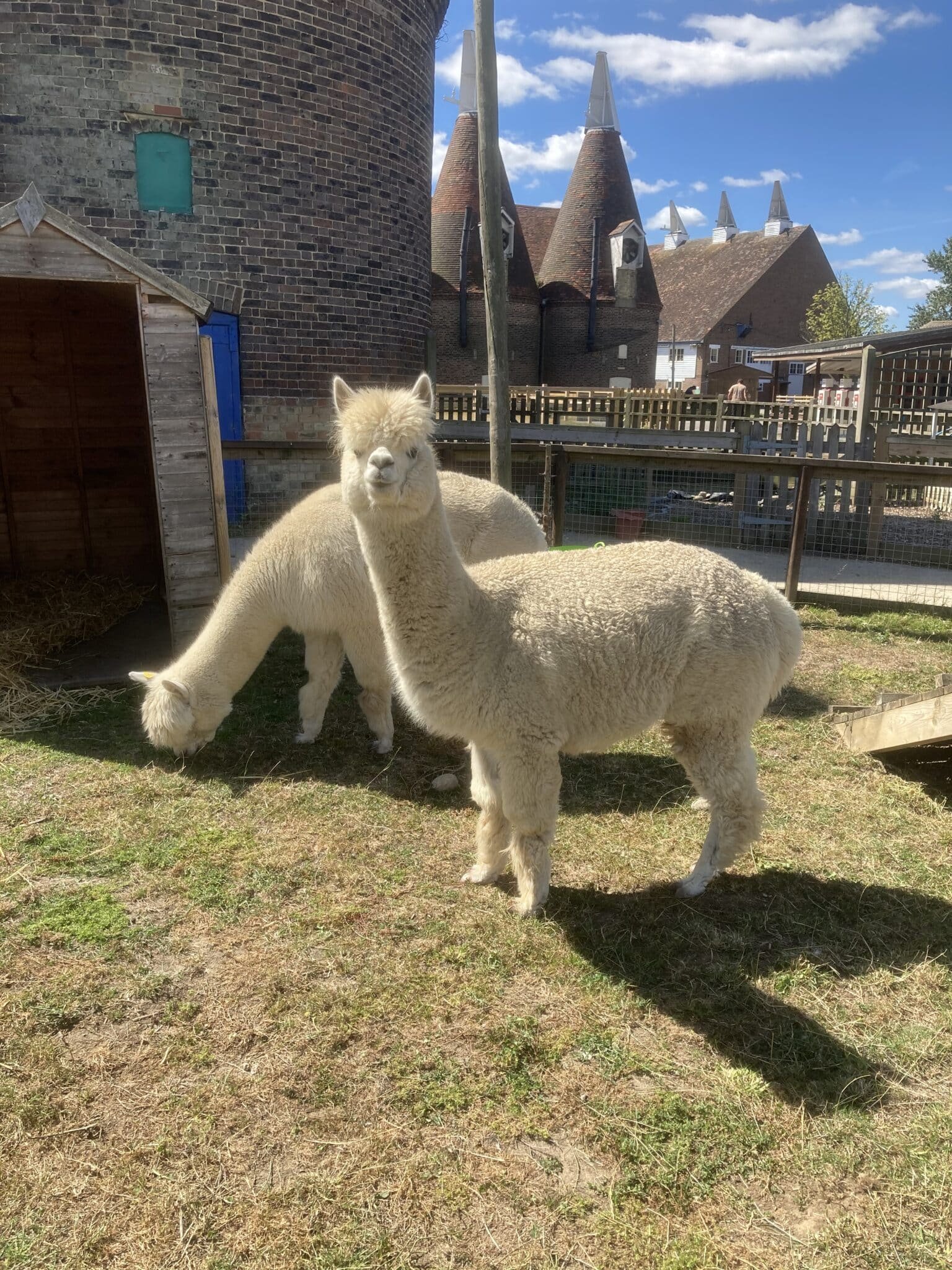 The Hop Farm Family Park - iVisit