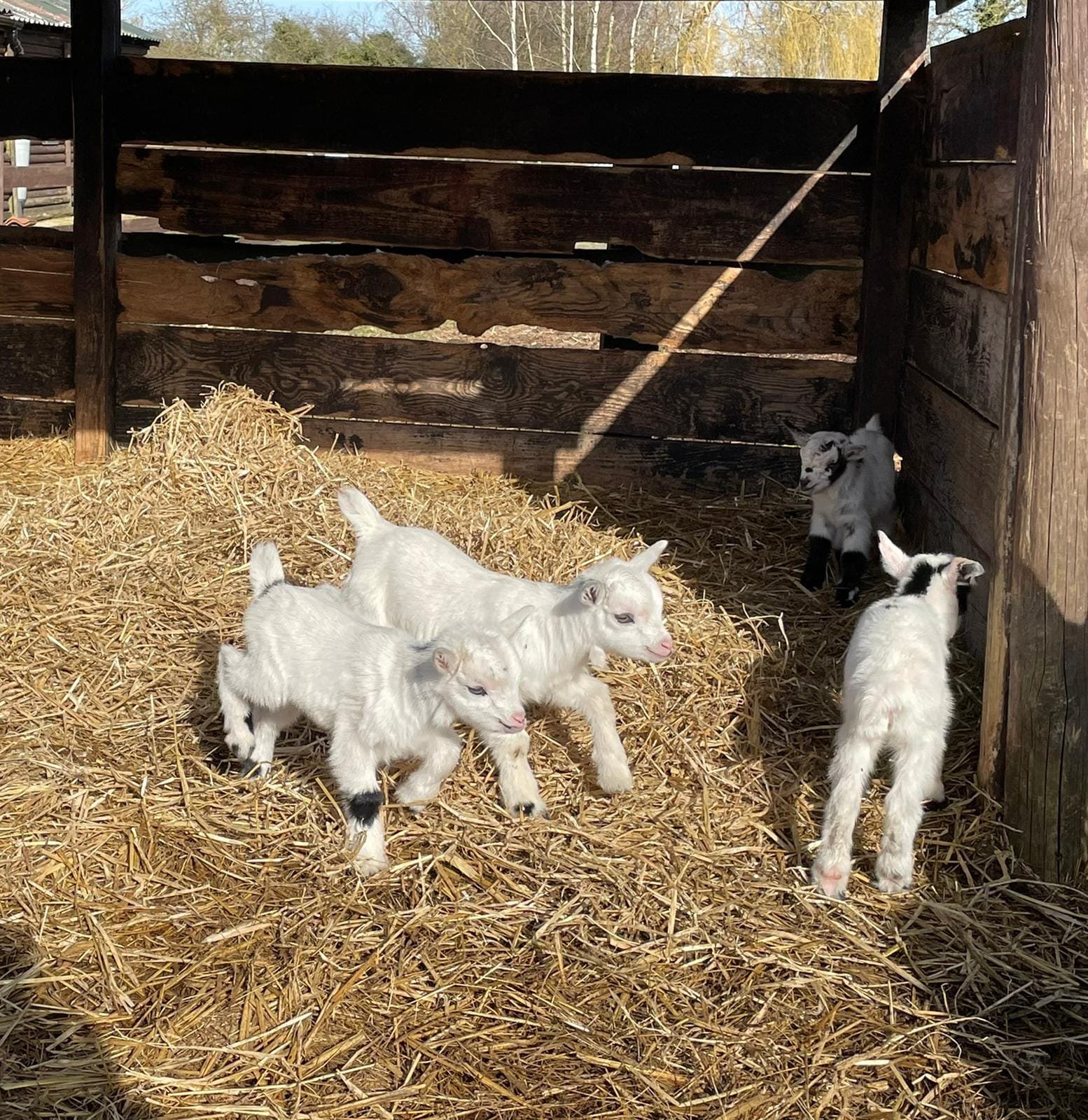 Rushmoor Farm Country Park - iVisit