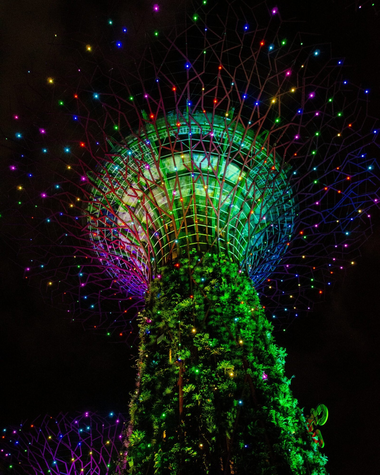 Winter Lights Festivals in London - iVisit